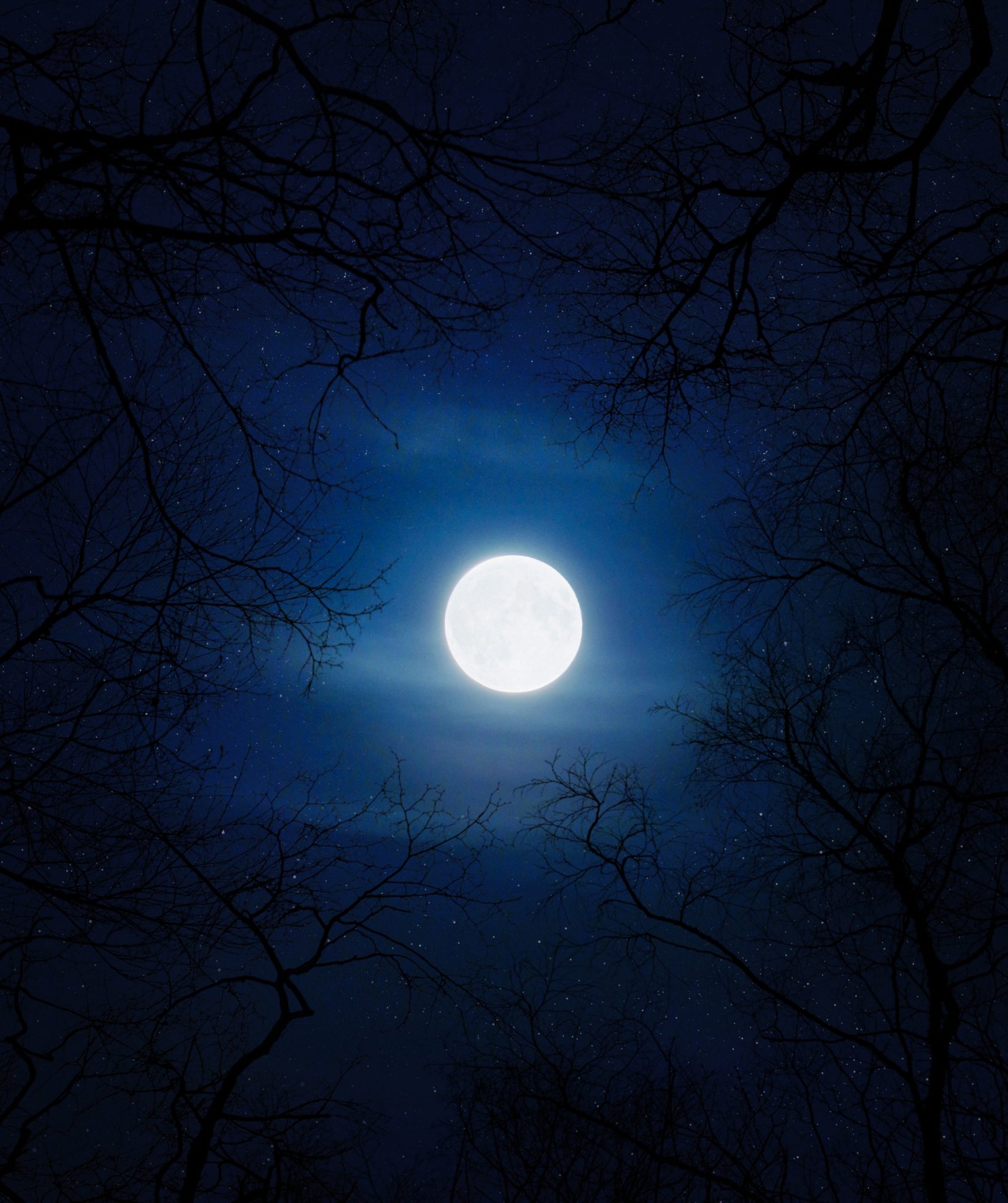 The Two Types of Suspense, and How to Create Them – Sarah Archer